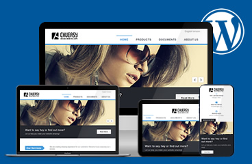 A DISPLAY OF NATHAN'S PAST PROJECTS